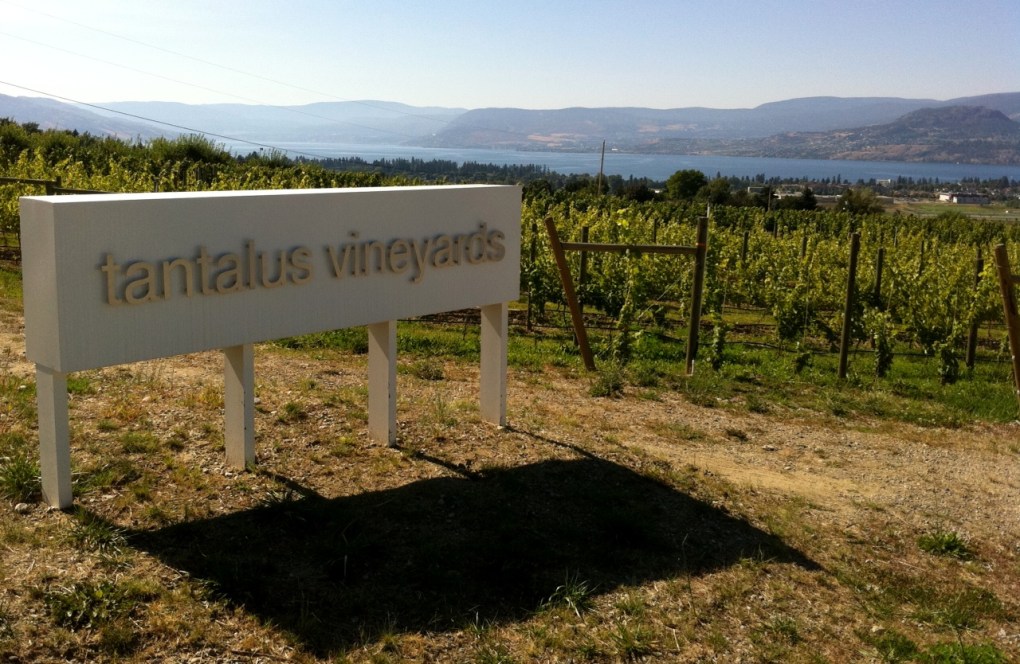 Wine Review: 2010 Tantalus Riesling | pop & pour